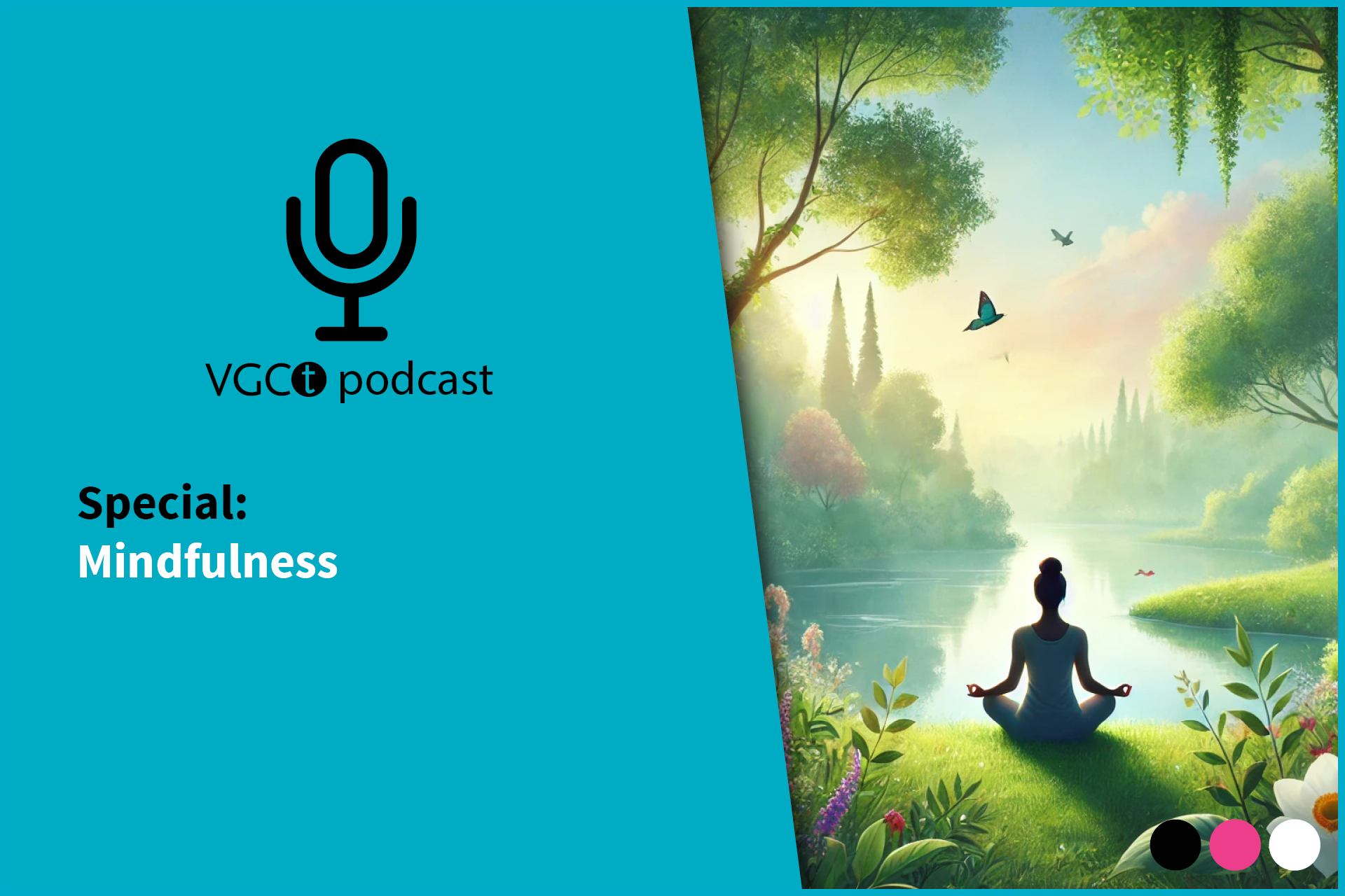 Podcast Special: Mindfulness - VGCt Kennisnet